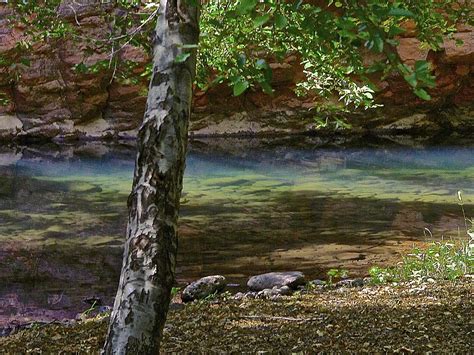 The Tree Of Life Photograph By Markus Eye Fine Art America