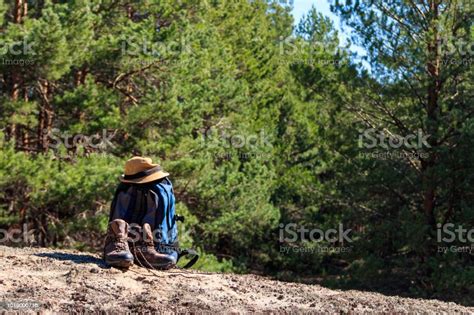 소나무 숲에서 숲 사이의 빈 터에 부츠와 모자를 하이킹 관광 배낭 0명에 대한 스톡 사진 및 기타 이미지 0명 가방 개념 Istock