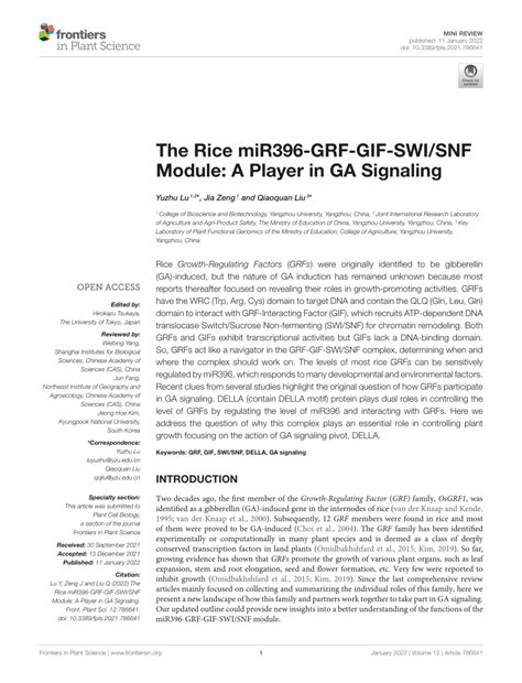 Pdf The Rice Mir396 Grf  Swi Snf Module A Player In Ga Signaling