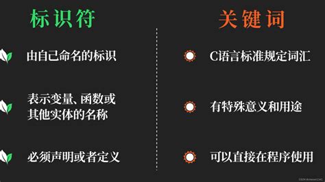 c语言 整数数据类型 整数太小是什么类型 csdn博客