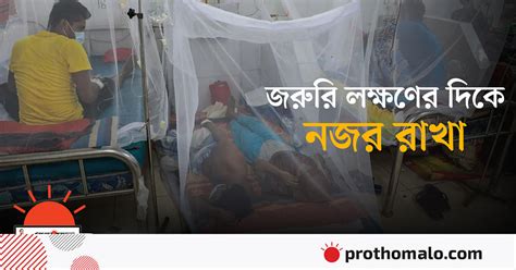বাংলাদেশে এডিস মশা কেন নির্মূল করা যাচ্ছে না প্রথম আলো
