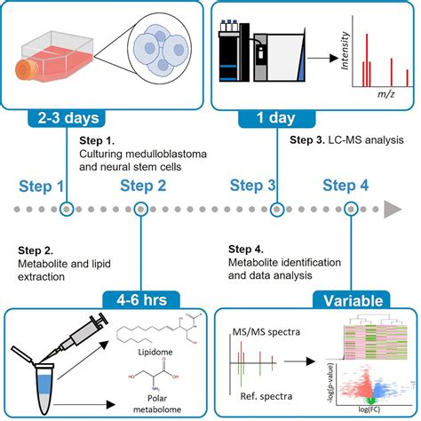 Cell Press Star Protocols