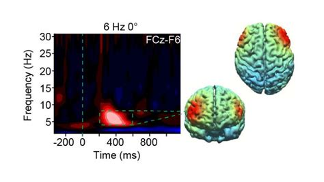 New Tools To Enhance Brain Function And Treat Disorders