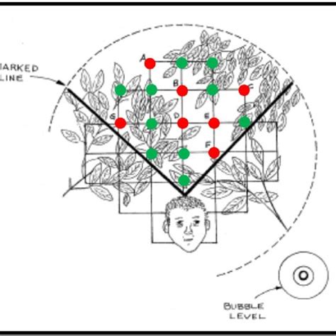 Examples Of Guides Used For Percent Cover Estimates Download Scientific Diagram