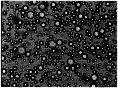 Propargite Microcapsule Suspension As Well As Preparation Method And
