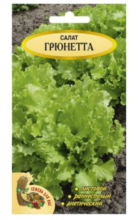 Семена Салат листовой Грюнетта 2 пакетика – купить с доставкой по ...
