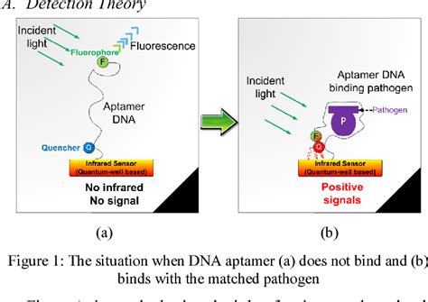 Figure 1 From A Novel Mems Based Infrared Biosensor For Ultra Sensitive Detection Of Waterborne