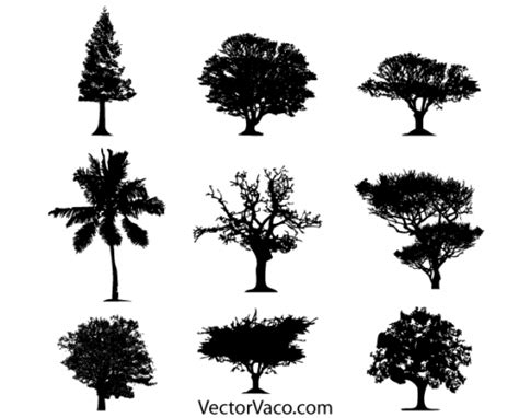 Tree Vector Ai At Collection Of Tree Vector Ai Free For Personal Use Tree Vector Ai At Collection Of Tree Vector Ai Free For Personal Use