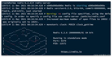 深入学习redis：从入门到实战 阿里云开发者社区
