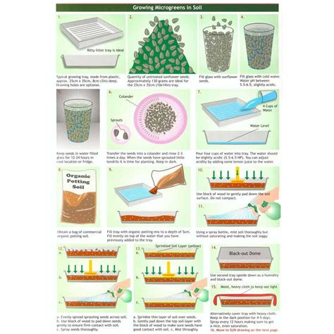 Microgreens Growing Guide Artofit