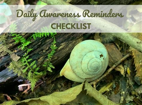 Transform Your Life Checklist — Anne Markham Bailey