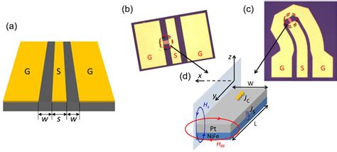 A The Schematic Of A Typical Cpw Illustrating The Download Scientific Diagram