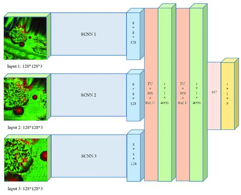 The Architecture Of The Mcnn Download Scientific Diagram
