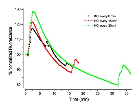 Multiple KCl Stimulations Of The Same Slice Download Scientific Diagram