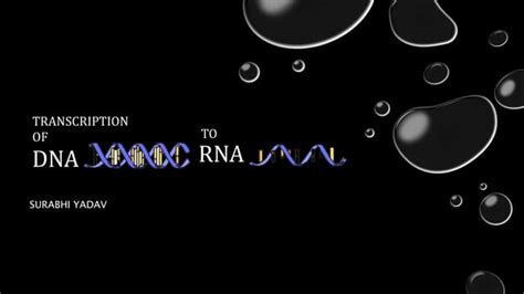 transcription of dna to rna using python programming pptx chemistry