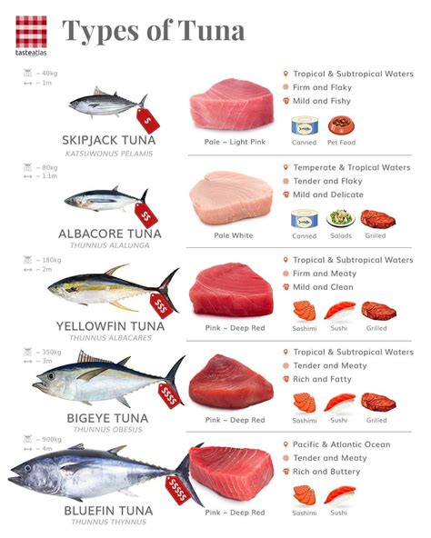 A Cool Guide About The Types Of Tuna Rcoolguides
