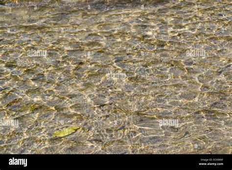 Shallow Water Texture