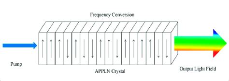 Schematic Diagram Of The Structure Of An Appln Lithium Niobate