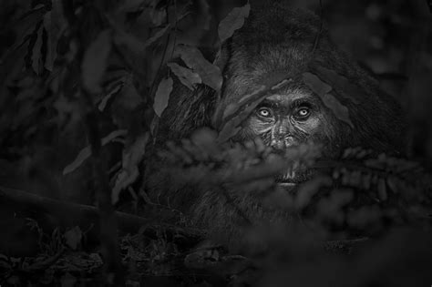 Pictures That Share Our Deepest Feelings Jacquie Matechuk Interview — The Photowalk