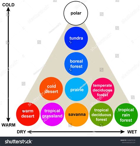 Classification Vegetation Types On Planet Earth Stock Illustration