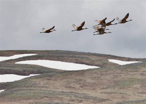 Yellowstone Insight Yellowstone Insight Has A Brand New Offer Just For You If You Would Like