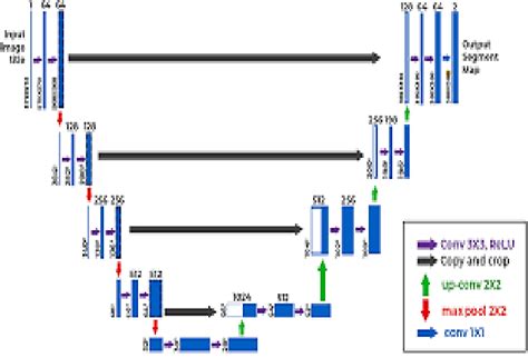 Figure 5 From Synergistic Fusion Of U Net And Deeplabv3 For Enhanced