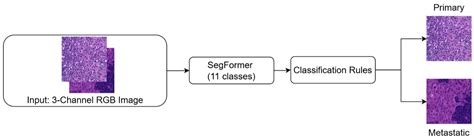 논문 리뷰 A Multi Stage Auto Context Deep Learning Framework For Tissue