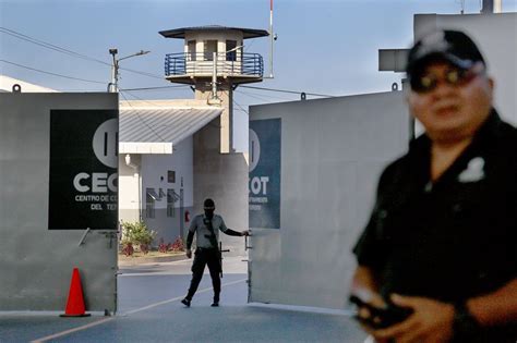 Lawyer Says Deported Gay Mans Life Is At Risk At Cecot