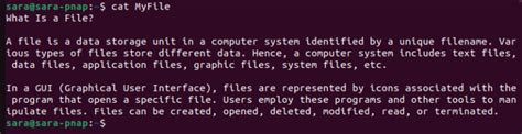How To Open A File In Bash PhoenixNAP KB