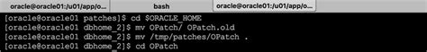 aplicando um critical patch update cpu oracle brasil