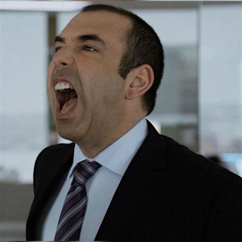Suits Louis Litt Cat In A Suit Pfp Louis Litt Quotes Suits Louis Litt