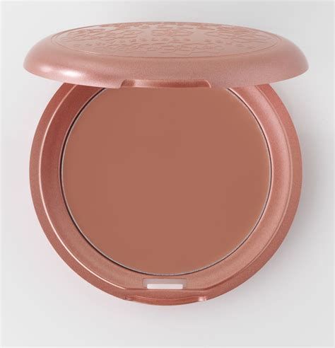 Discover 900 Cheeks Makeup Ideas On This Pinterest Board Cheek