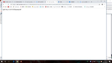 网络安全实验室—基础关 Csdn博客