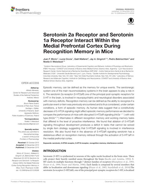 Pdf Serotonin 2a Receptor And Serotonin 1a Receptor Interact Within