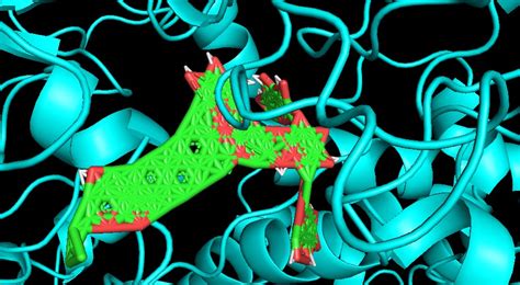 367 Questions With Answers In Autodock Vina Science Topic