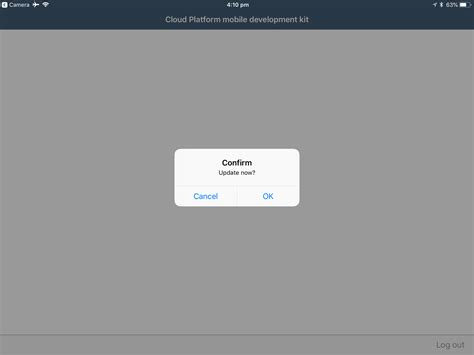 My First Mobile Development Kit Application End Sap Community