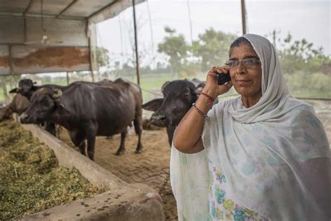 Cgiar Platform For Big Data In Agriculture Cgiar