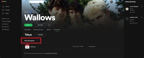 Top Spotify Add Ons To Enhance Spotify Music Experience