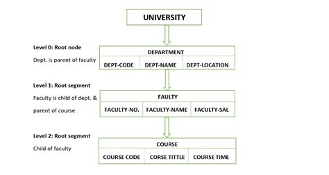 data model data models in dbms help to understand… by divya chouhan