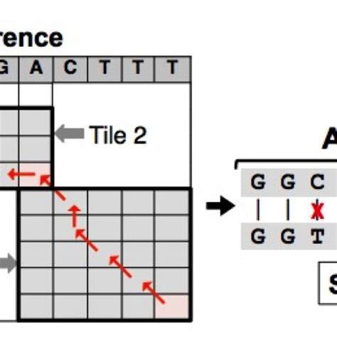 Gact Tiling And Alignment With Sequences And Scoring Scheme Of Figure 1