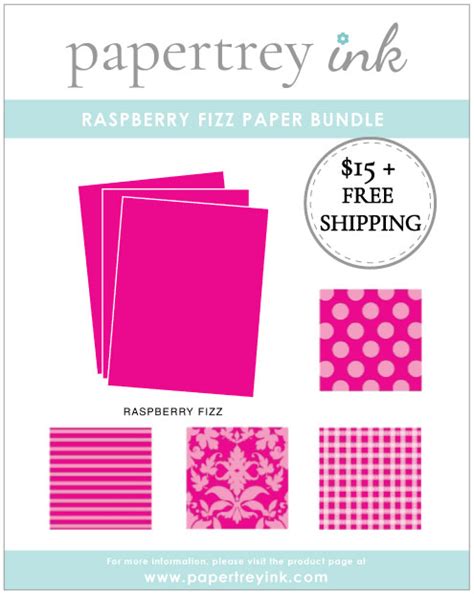 Raspberry Fizz Paper Bundle Papertrey Ink