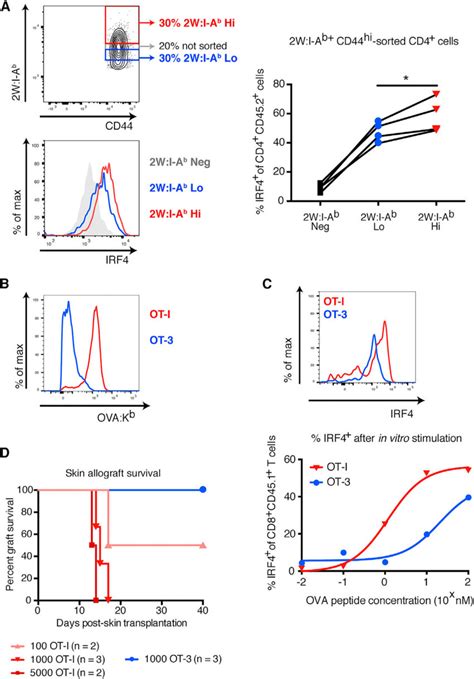 Tetramer Binding Correlates With T Cell Functional Avidity And Capacity