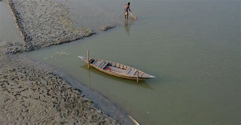 Wordpress Local Development Environment 13 Expert Answers You Need