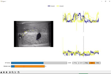 Labels Not Appearing Correctly In Tracklets But Fine In Analyze Videos · Issue 991
