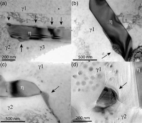 BF Images Of A Five TCP Particles At G H Interface And B TCP Download Scientific Diagram