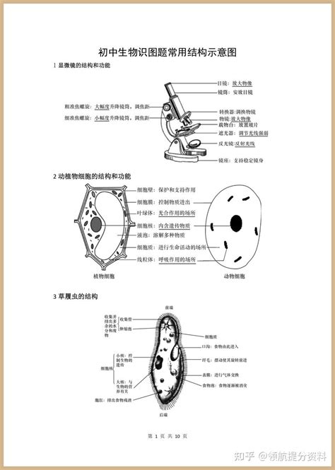 初中生物会考识图题常用结构示意图 知乎
