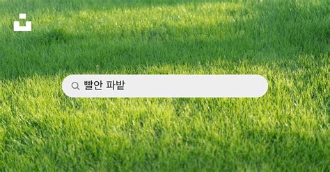 빨안 파밭 Pictures Download Free Images On Unsplash