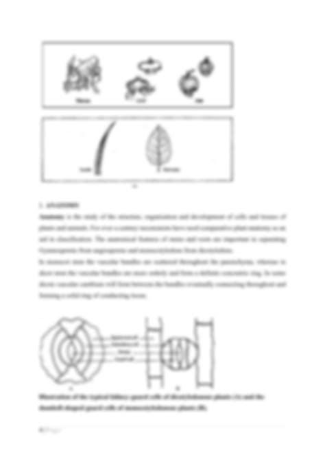 Solution Characters And Character States Nomenclature Notes Studypool