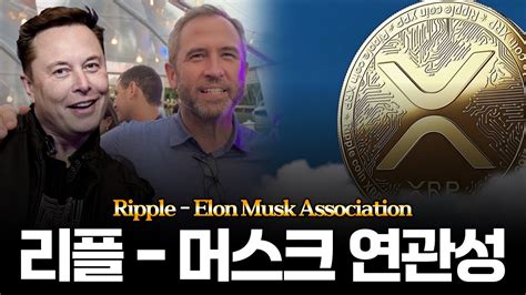 리플 Xrp와 머스크의 연관성 심상치 않다 Youtube