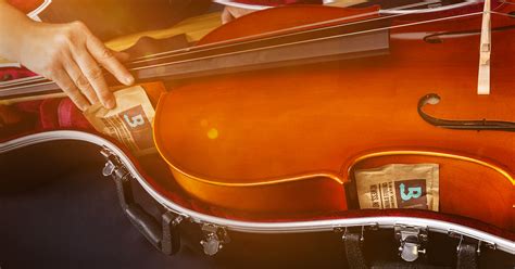 String Instruments Cello
